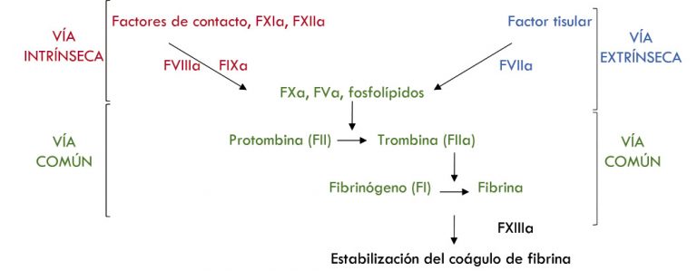 Déficit de Factor VII (FVII) – Cuidados Intensivos